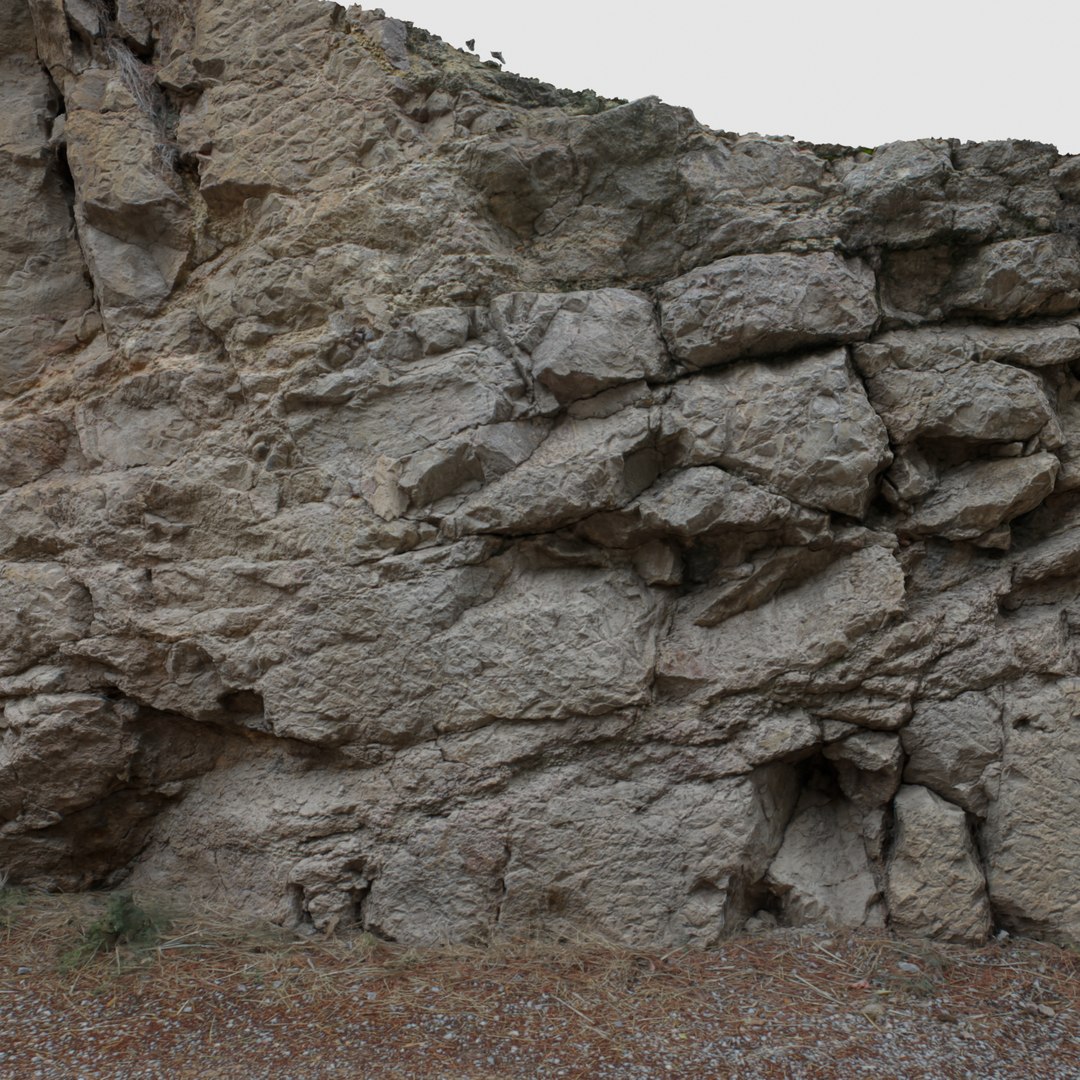 3D Scan Cliff Wall Model - TurboSquid 1646770