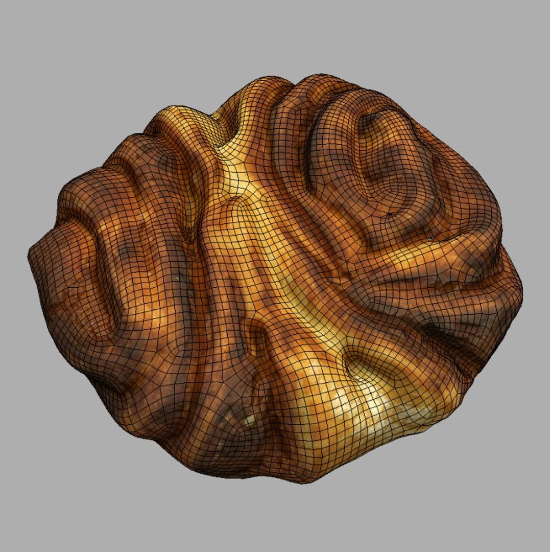 3D Model Pastry - TurboSquid 1207067