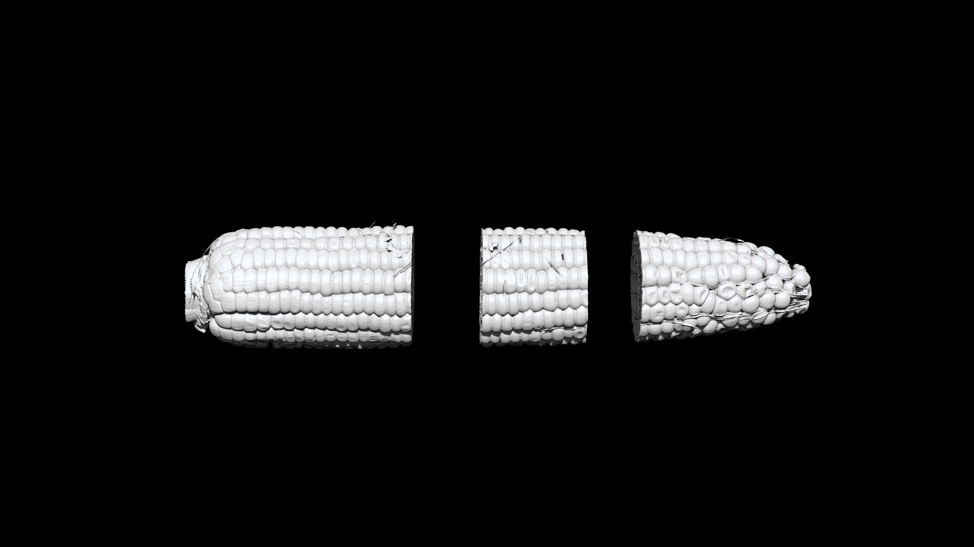 Corn 3D CT Scan Model Cut2 Decimate 30 Percent 3D - TurboSquid 1945223