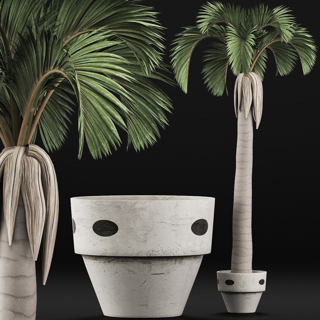 3D Palms Plants Model - TurboSquid 1680757