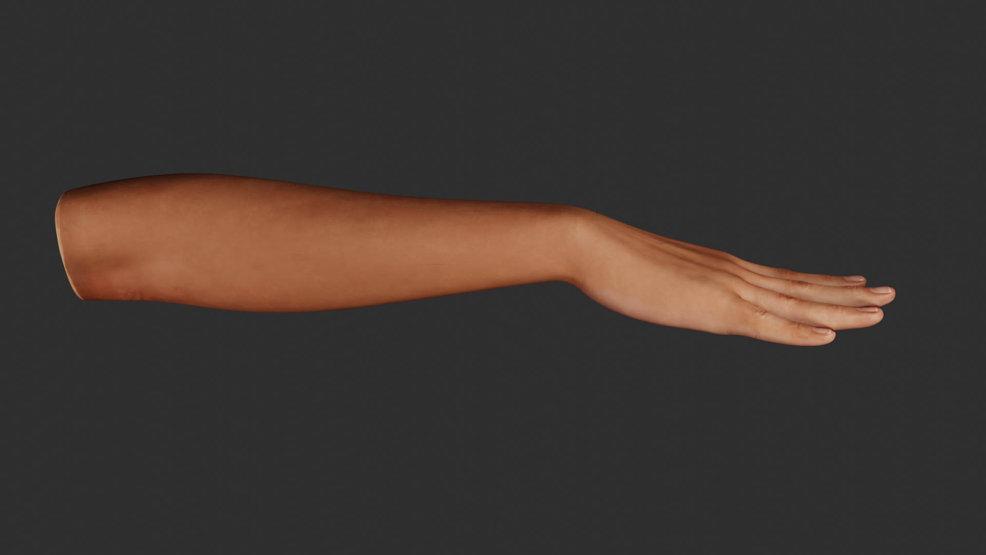 3D Hand Rigged Model - TurboSquid 1595863