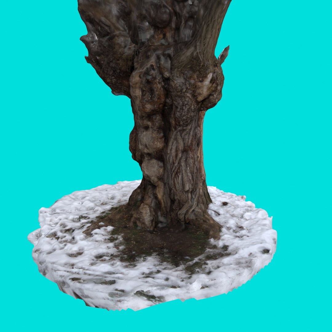 Tree Trunk 8 3d Max
