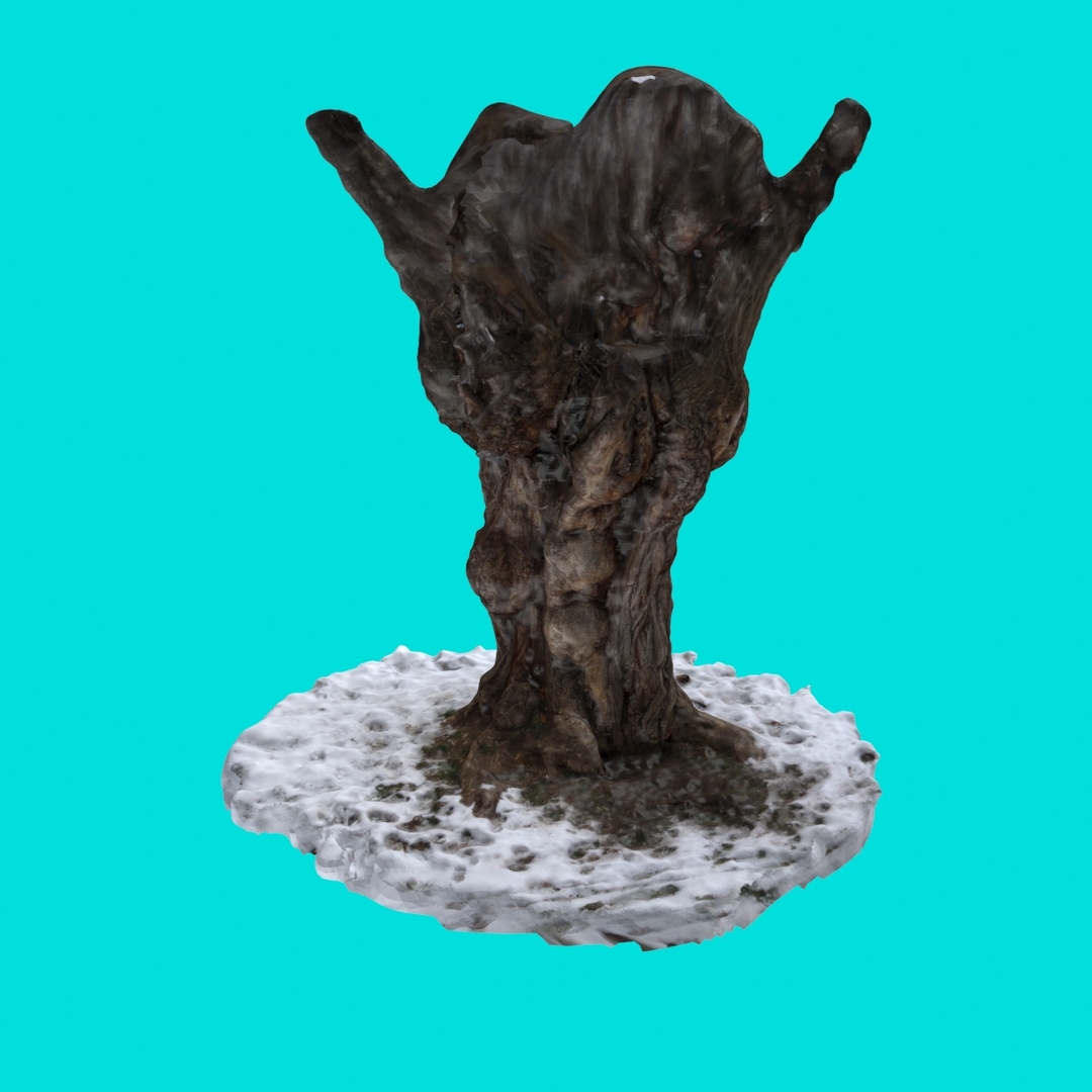 Tree Trunk 8 3d Max