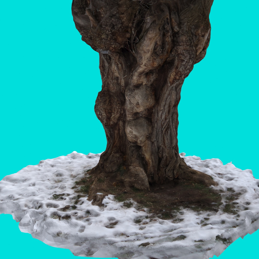 Tree Trunk 8 3d Max