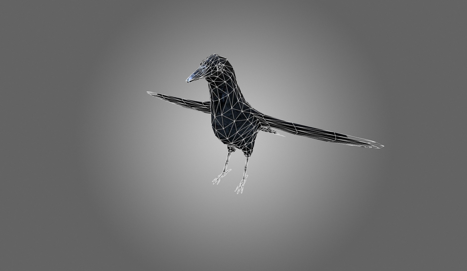 Crow Low-poly 3d 3ds