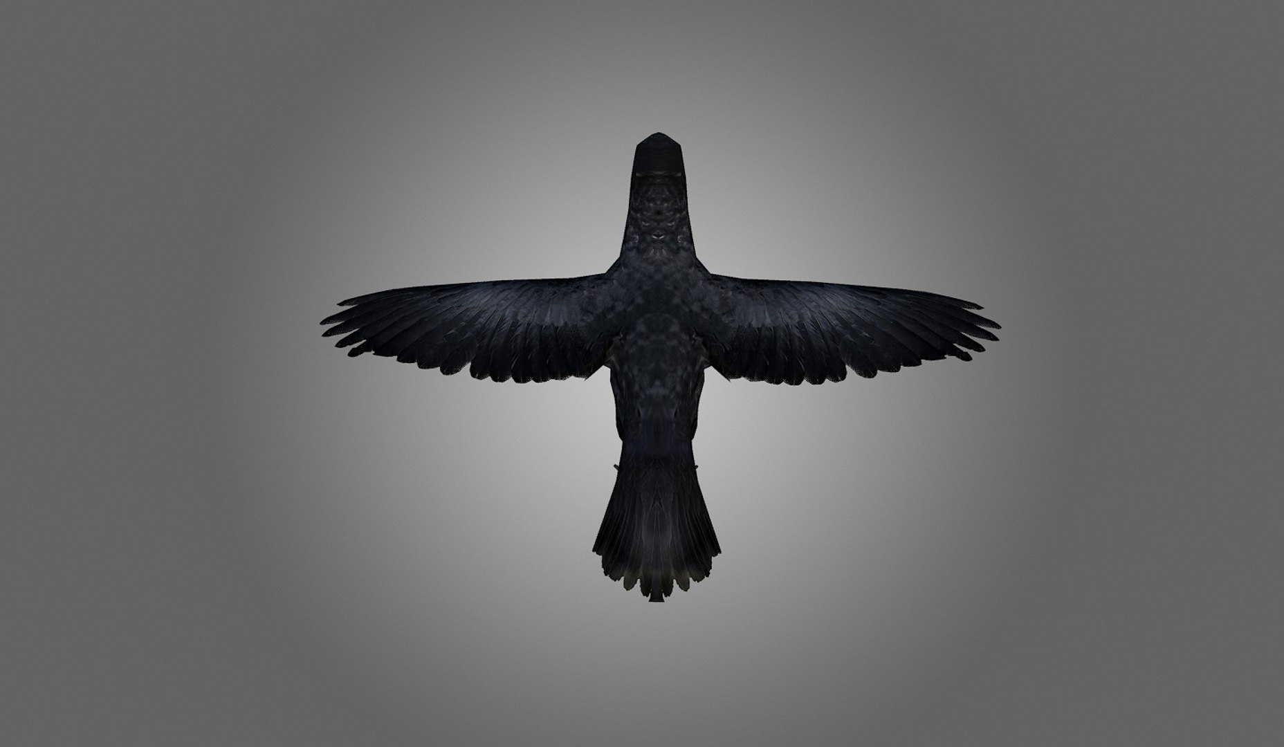Crow Low-poly 3d 3ds