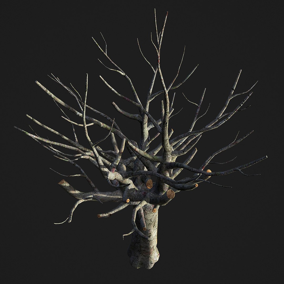 3D old tree - TurboSquid 1151607