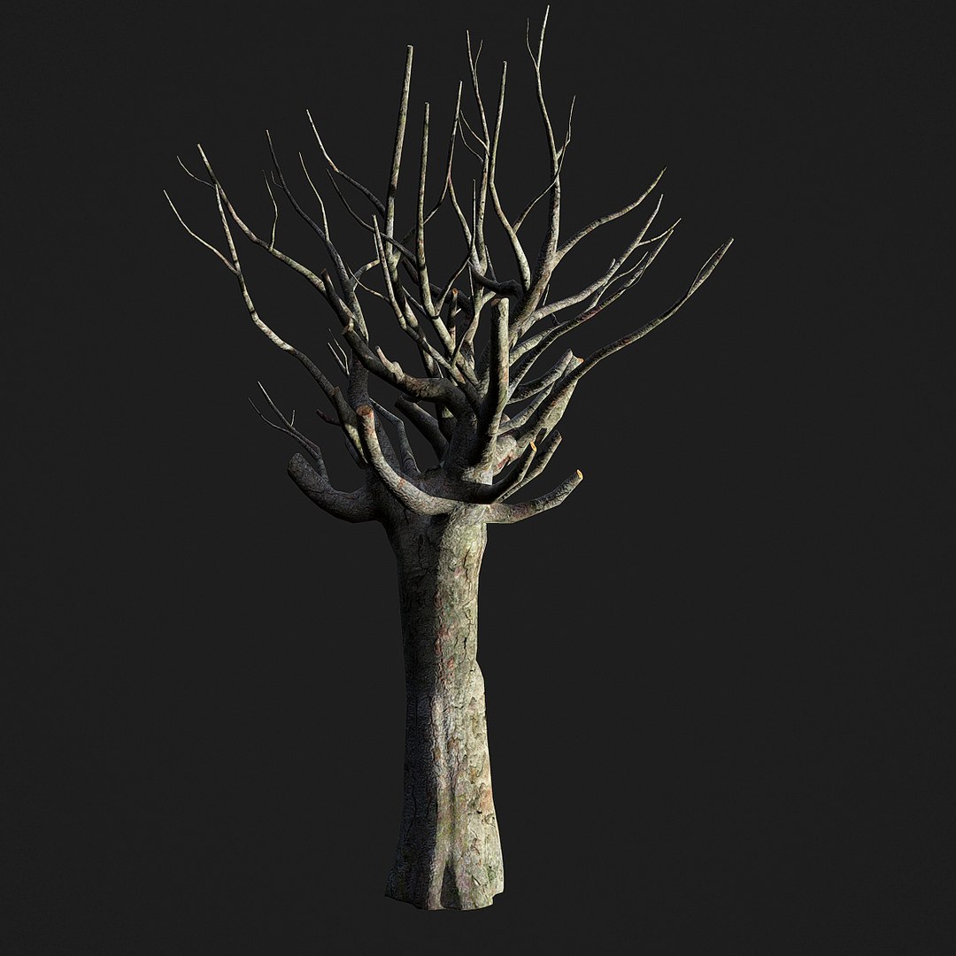 3D Old Tree - TurboSquid 1151607