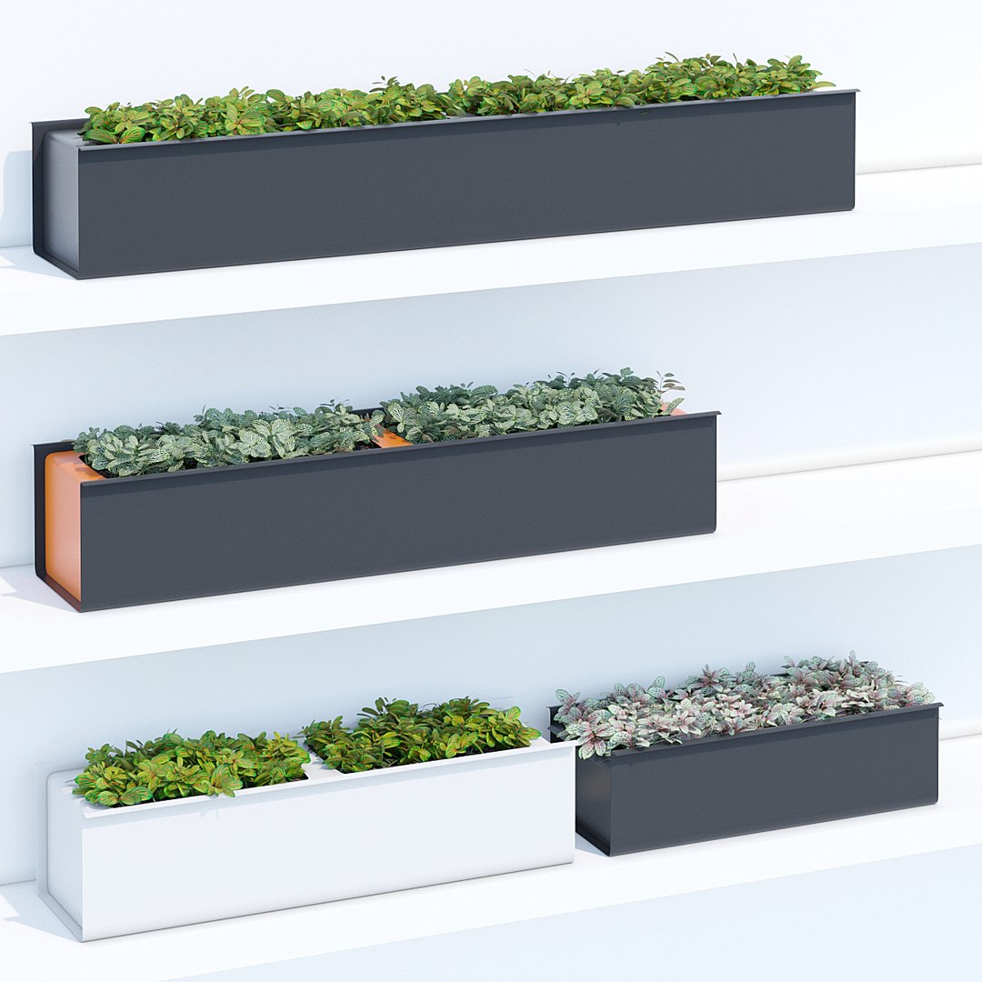 Sunset Box Flora Model - TurboSquid 1368925