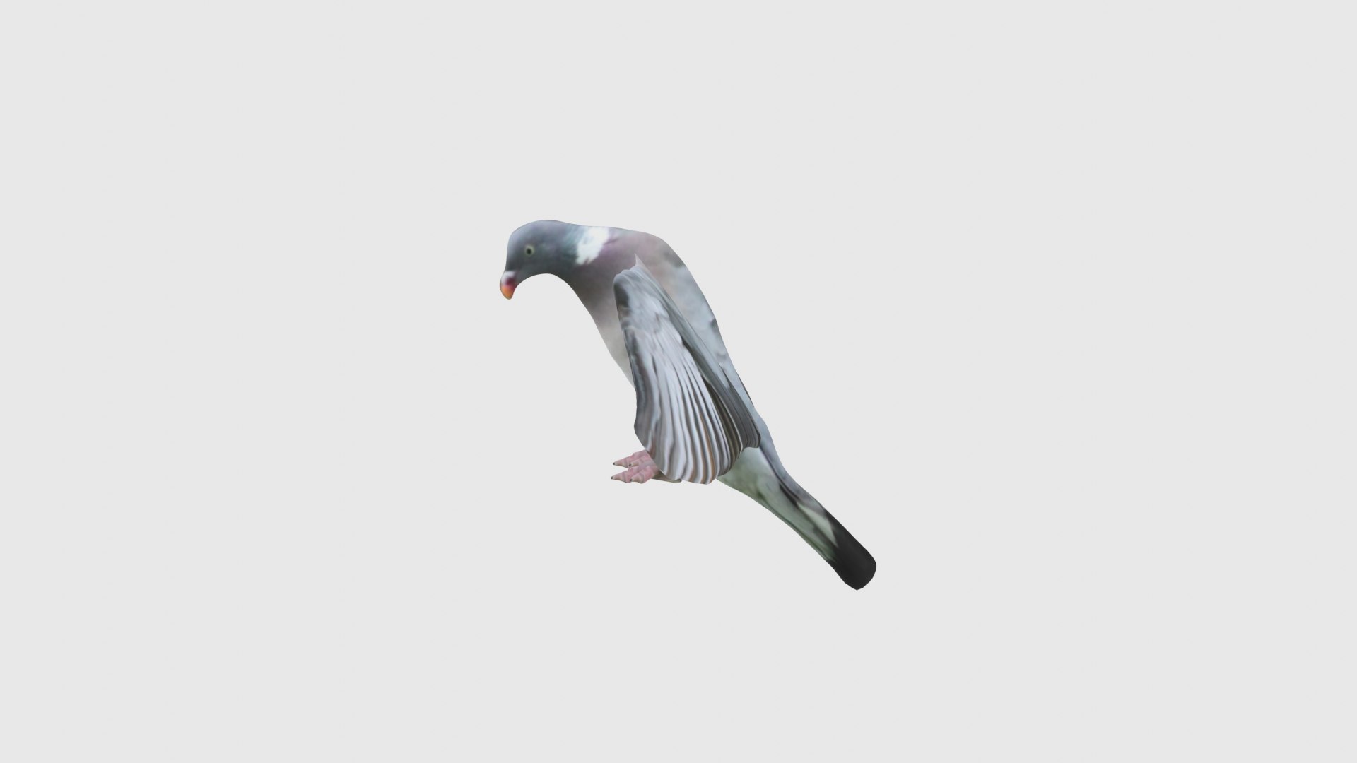 Low Poly Pigeon Rigged With Realistic Texture 3D Model - TurboSquid 1875992