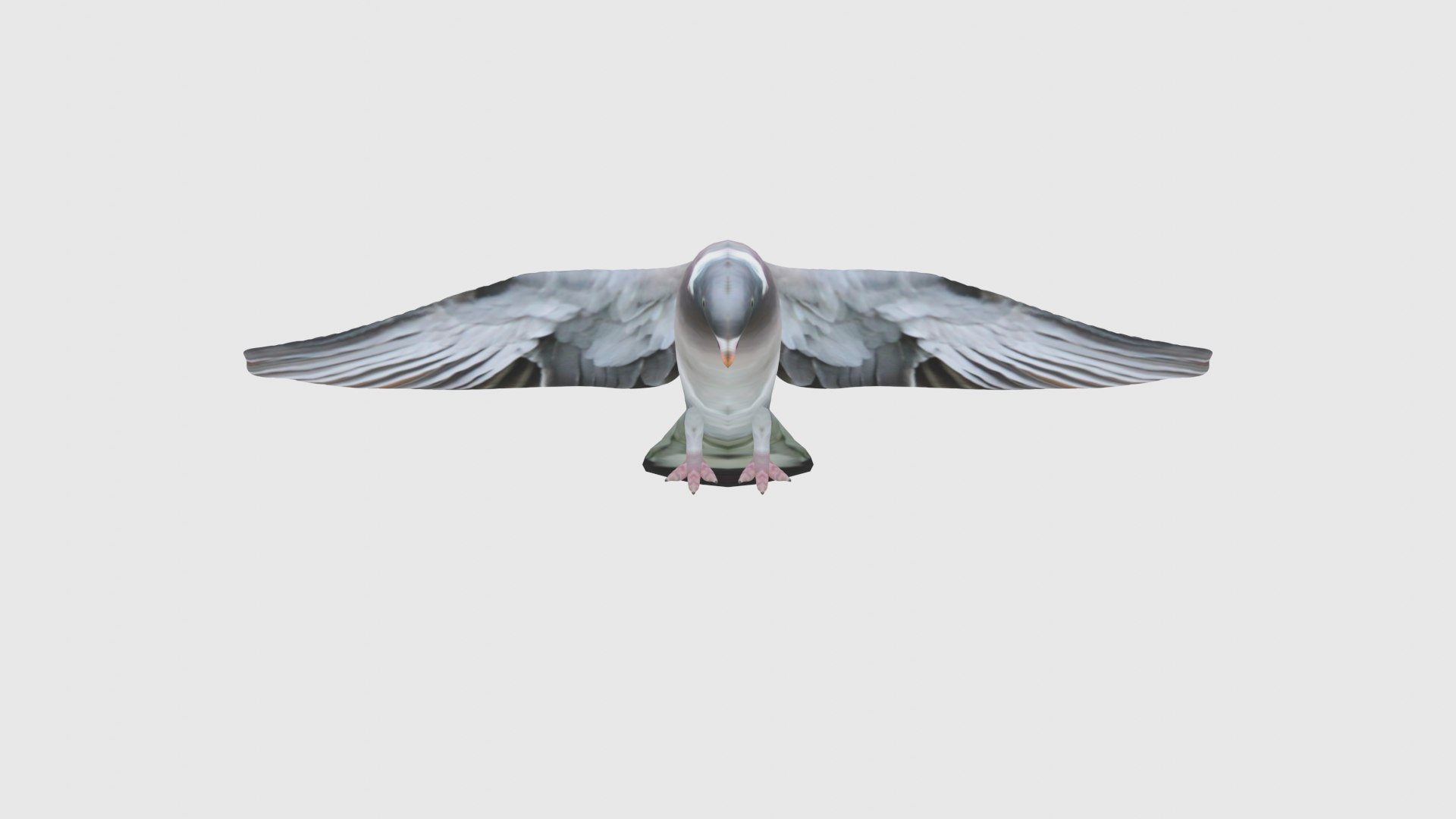 Low Poly Pigeon Rigged With Realistic Texture 3D Model - TurboSquid 1875992