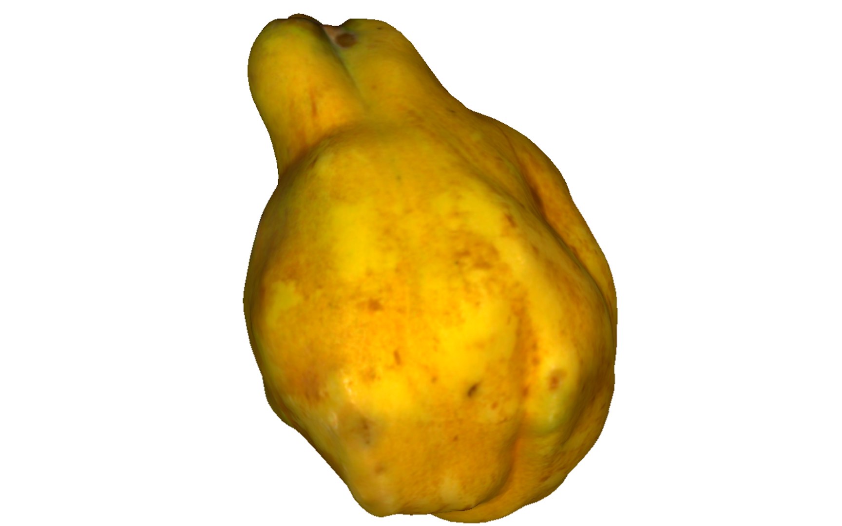 Quince Model - TurboSquid 1641400