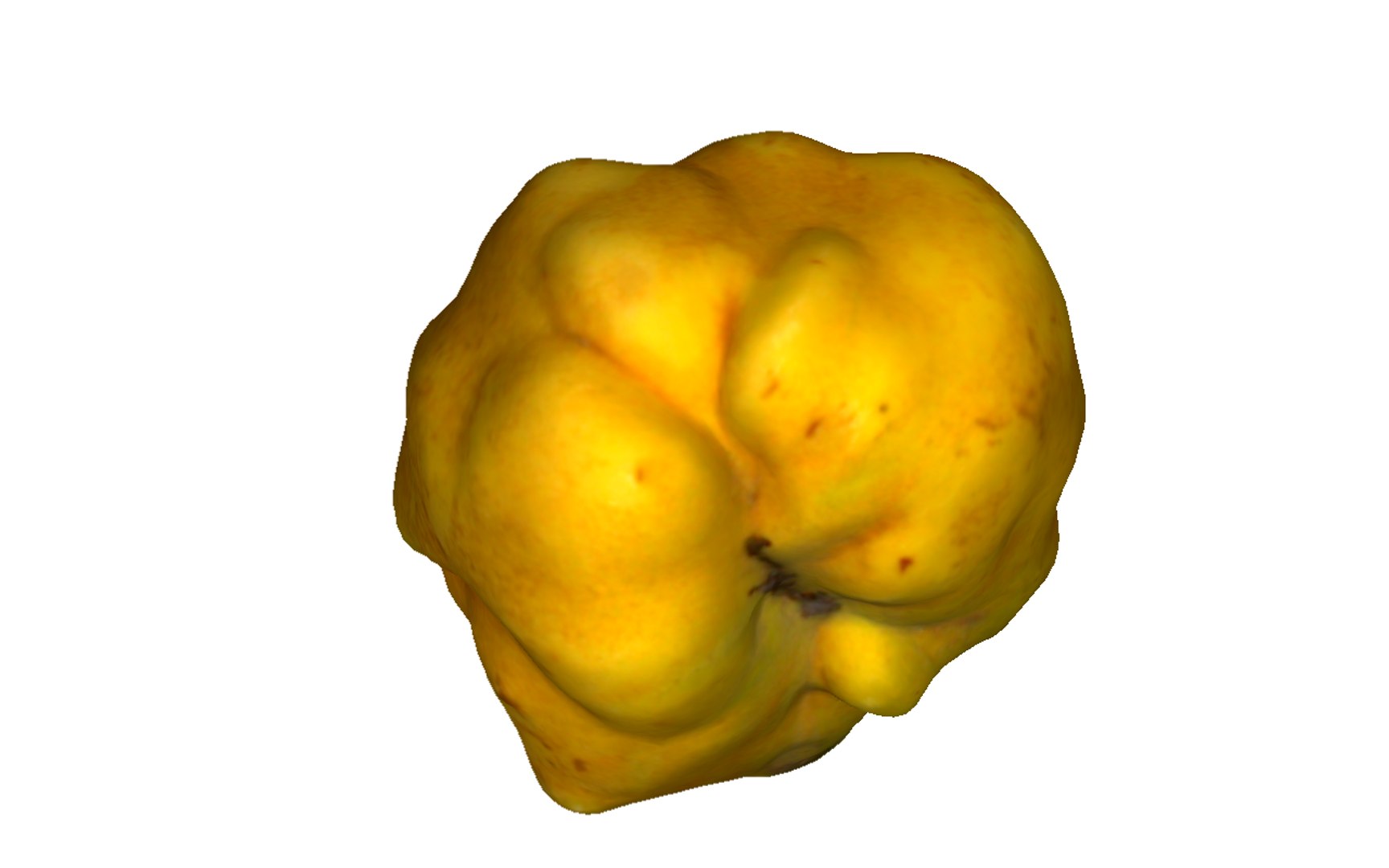 Quince Model - TurboSquid 1641400