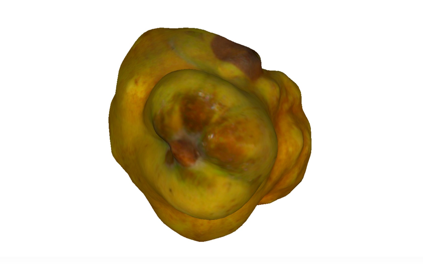 Quince Model - TurboSquid 1641400