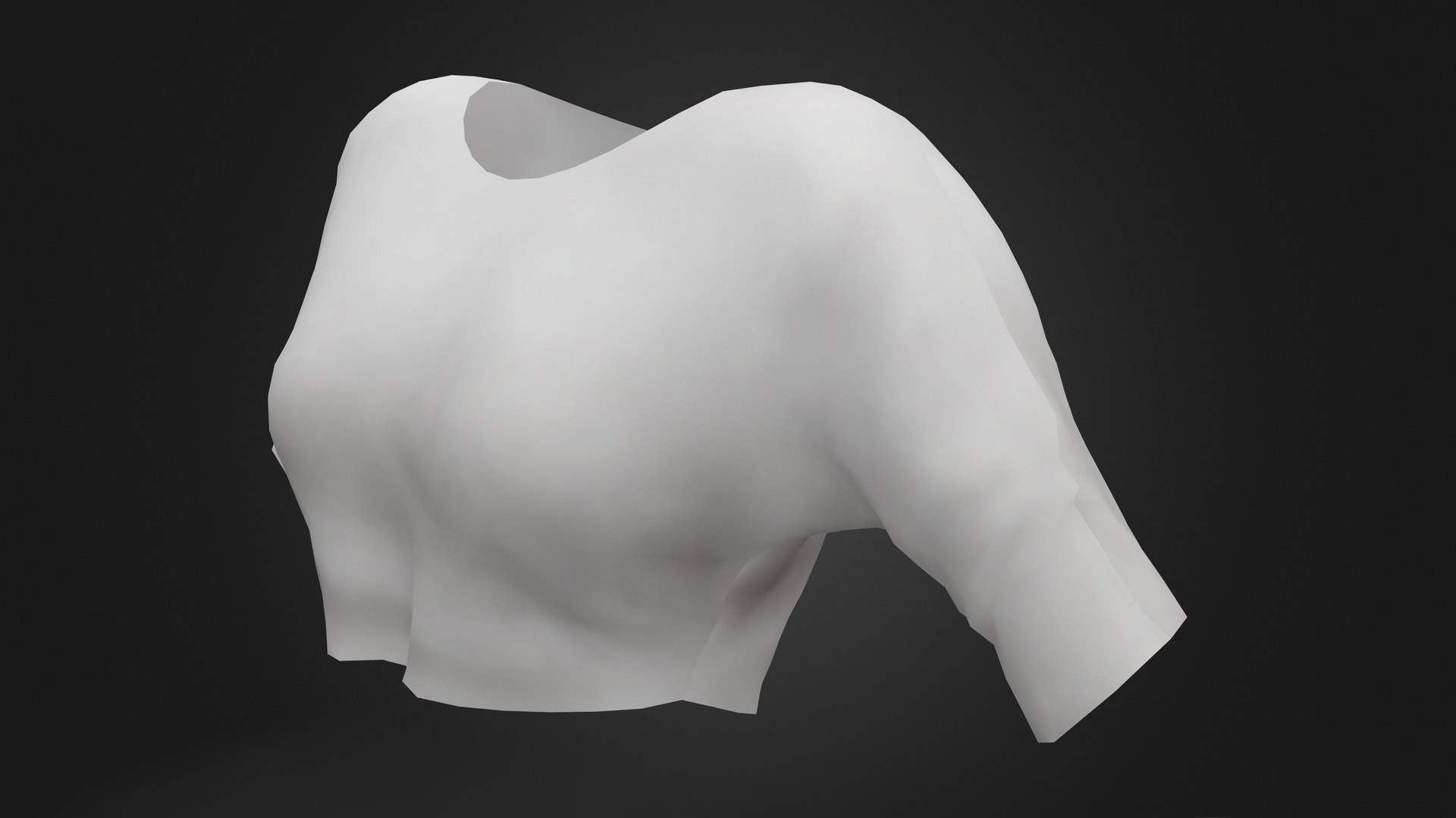 Cropped Batwing Top 3D model - TurboSquid 1904322