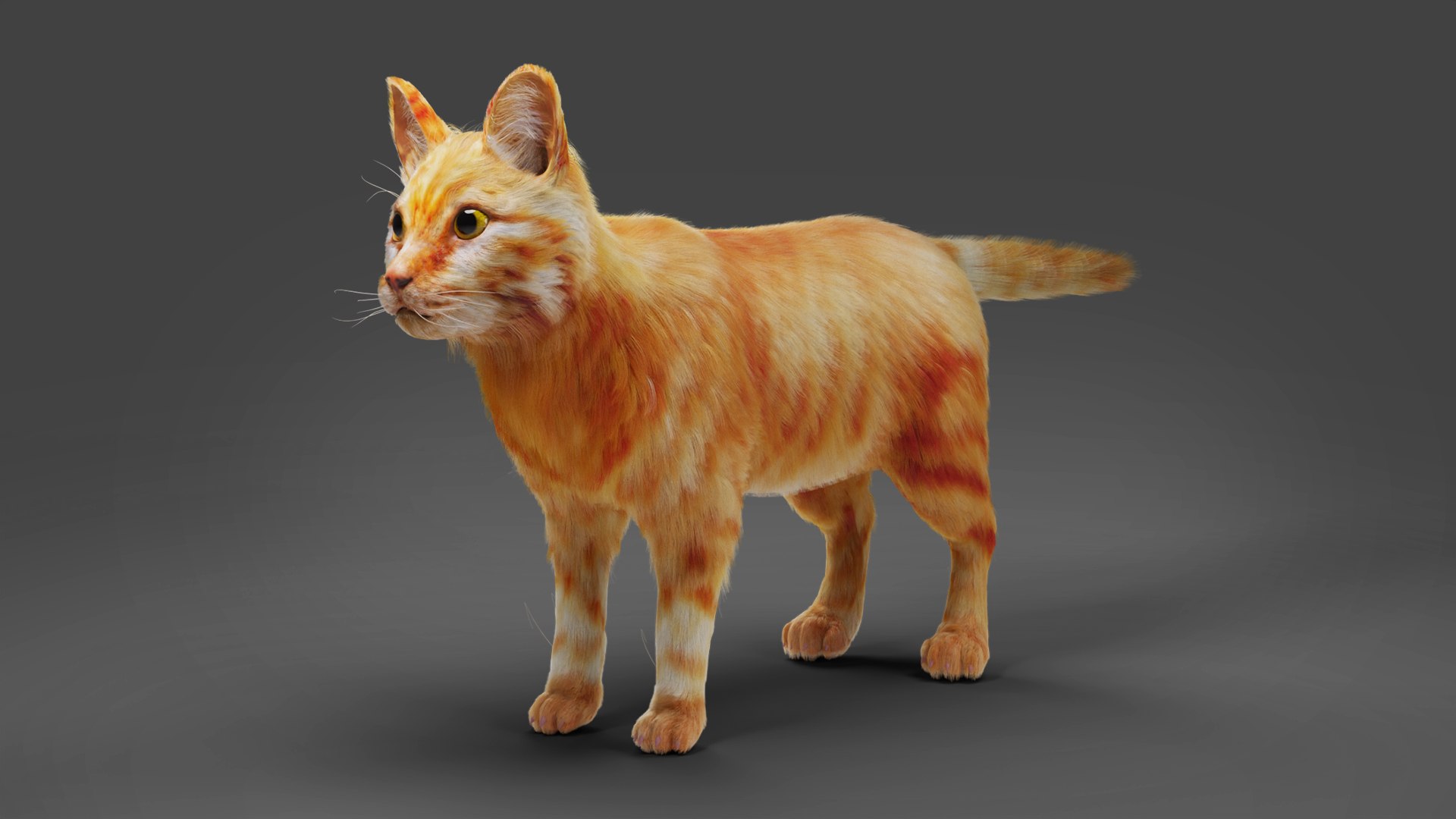 3D Fur Cat Yellow 02 Model - TurboSquid 1910847