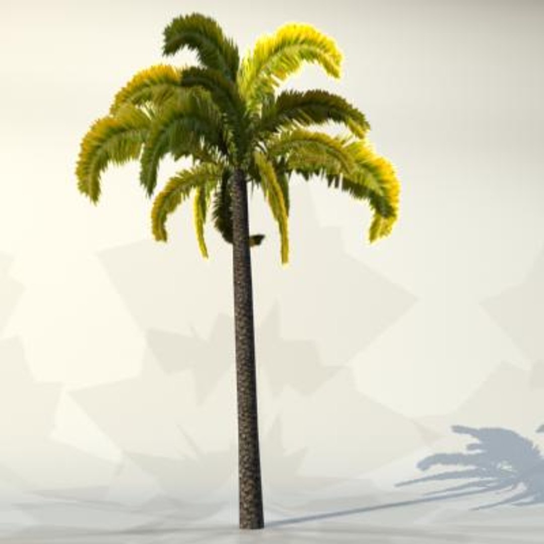 pc palm 3d model