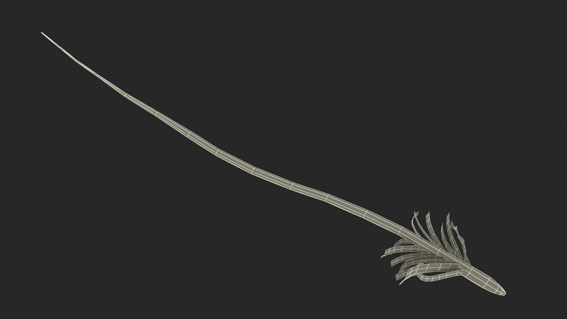 3D Feather Base - TurboSquid 2211838