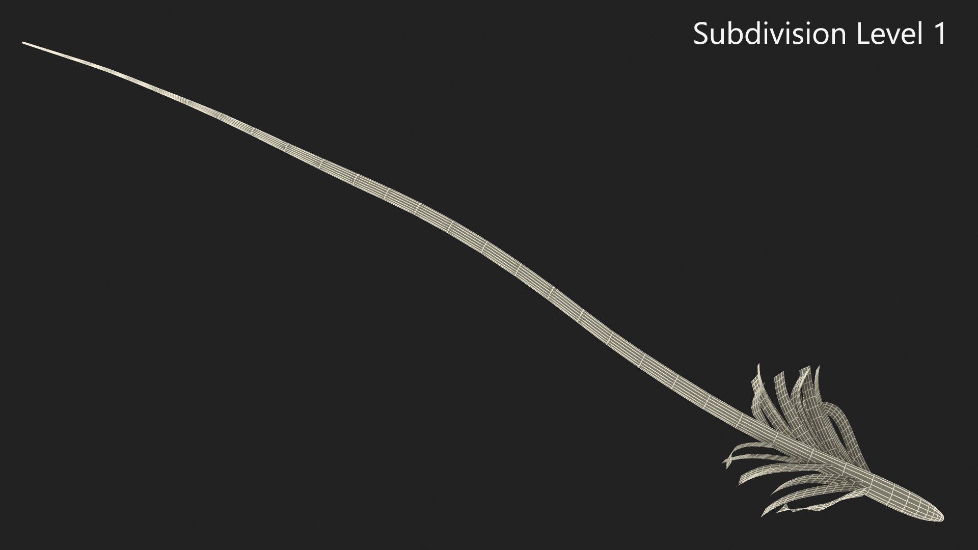 3D Feather Base - TurboSquid 2211838