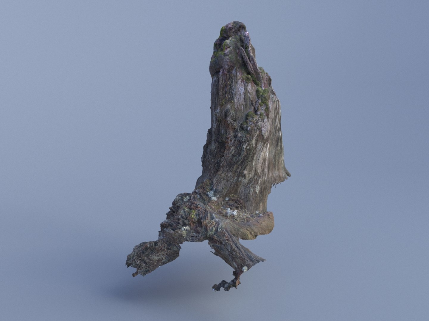 Old Bog Stump 3D - TurboSquid 1348550