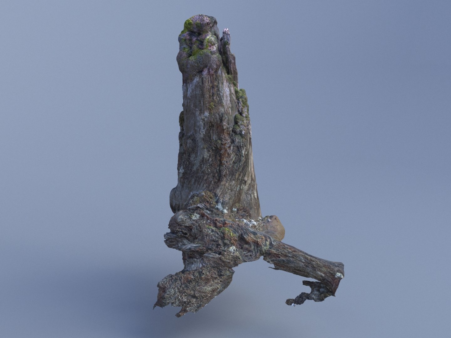 Old Bog Stump 3D - TurboSquid 1348550
