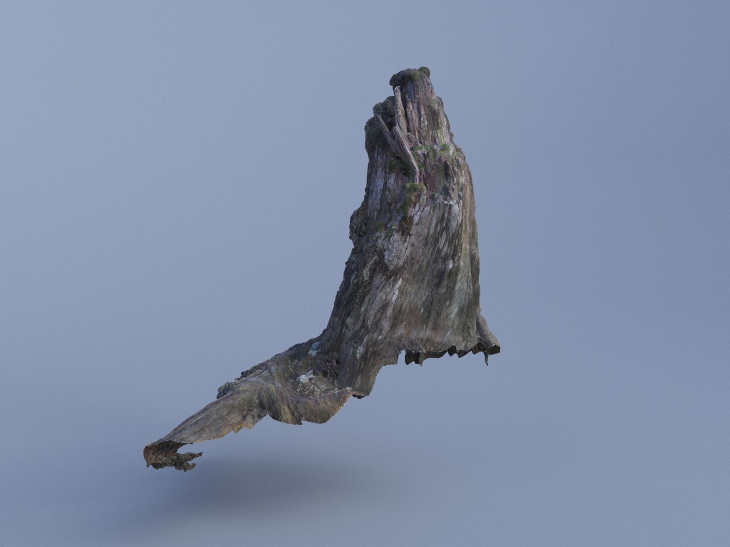 Old Bog Stump 3D - TurboSquid 1348550