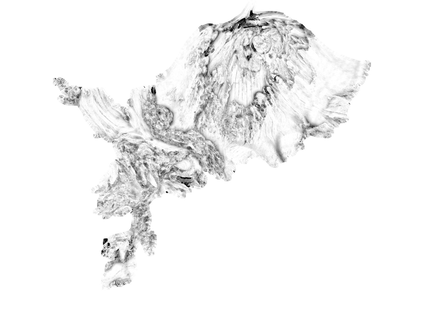 Old Bog Stump 3D - TurboSquid 1348550