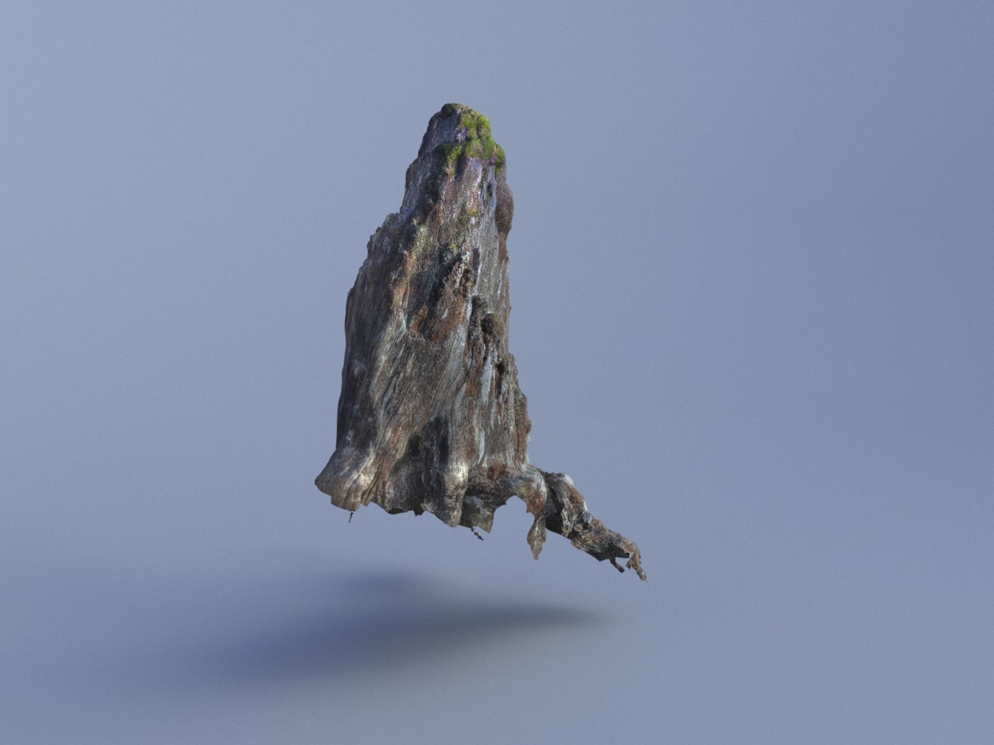 Old Bog Stump 3D - TurboSquid 1348550