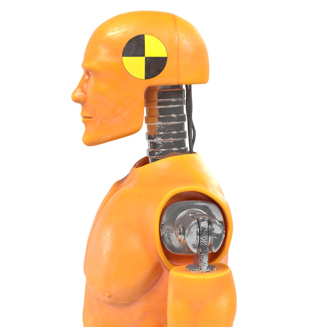 3d Crash Test Dummy Model