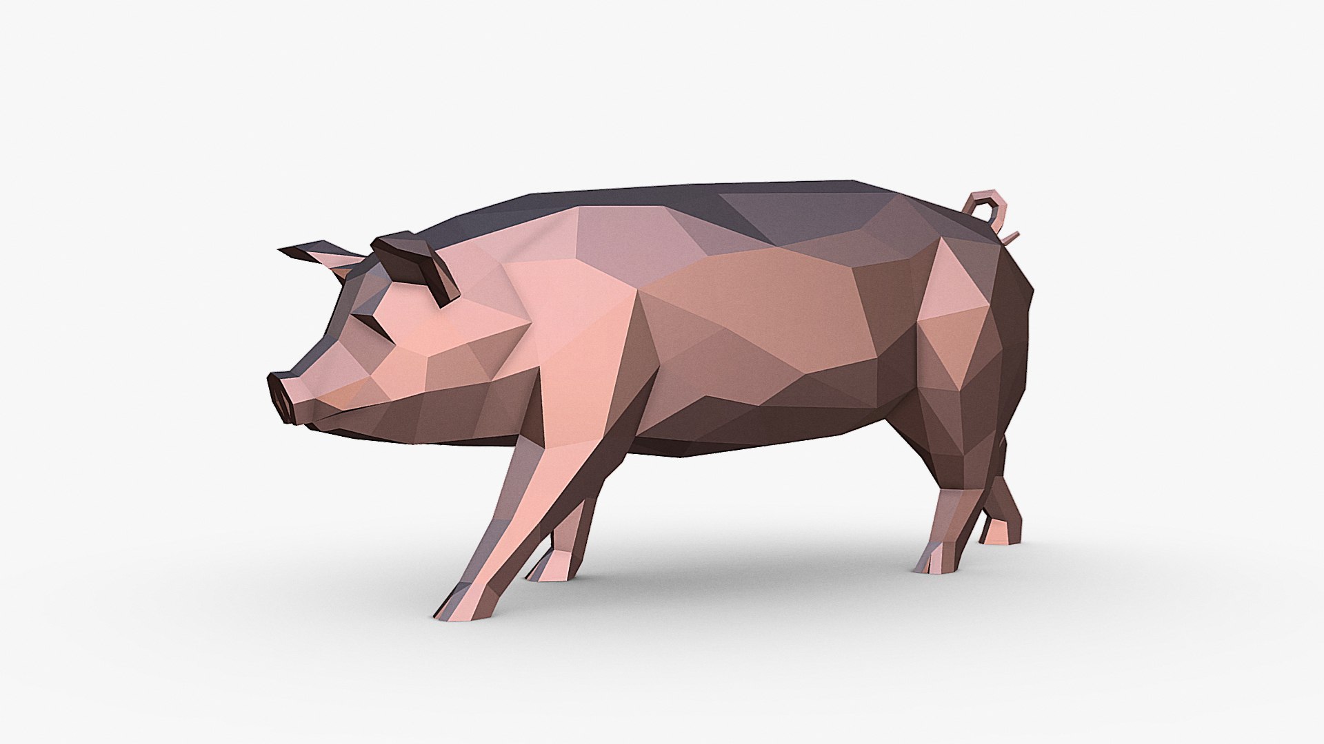 3D Model Pig Low Poly - TurboSquid 1975764