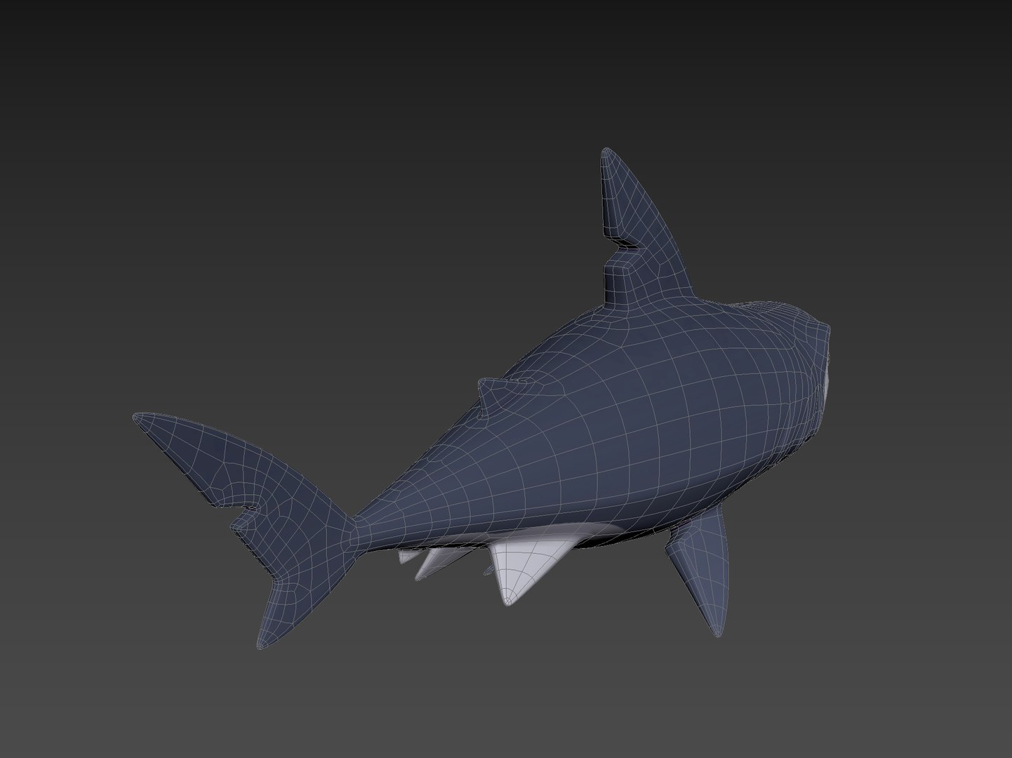 3D Shark Character Model - TurboSquid 1702252