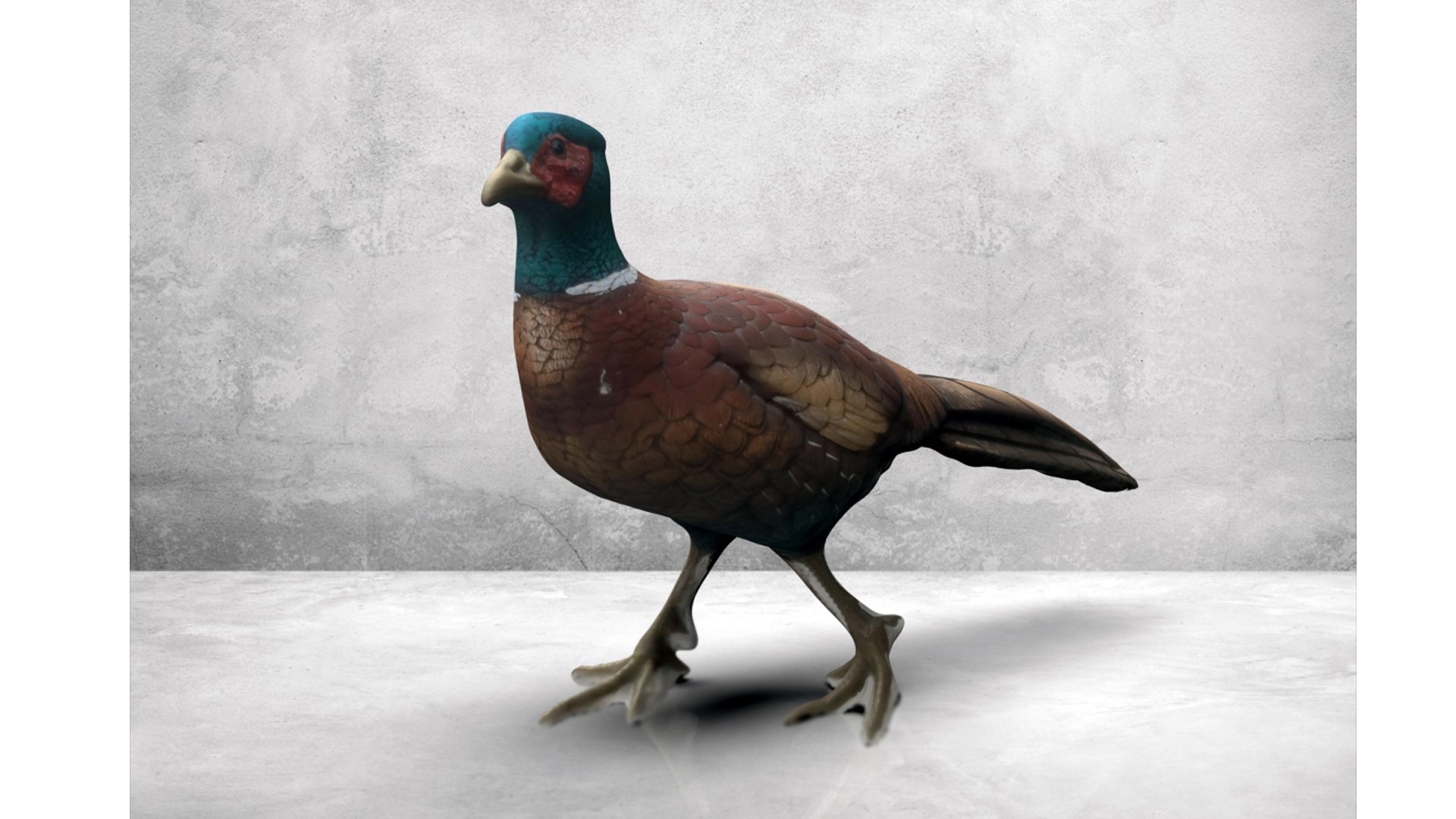 3D Pheasant - TurboSquid 2339744