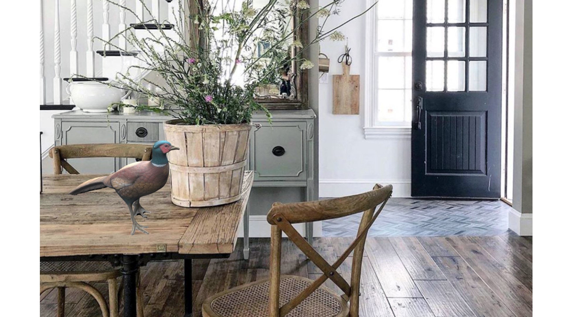 3D Pheasant - TurboSquid 2339744