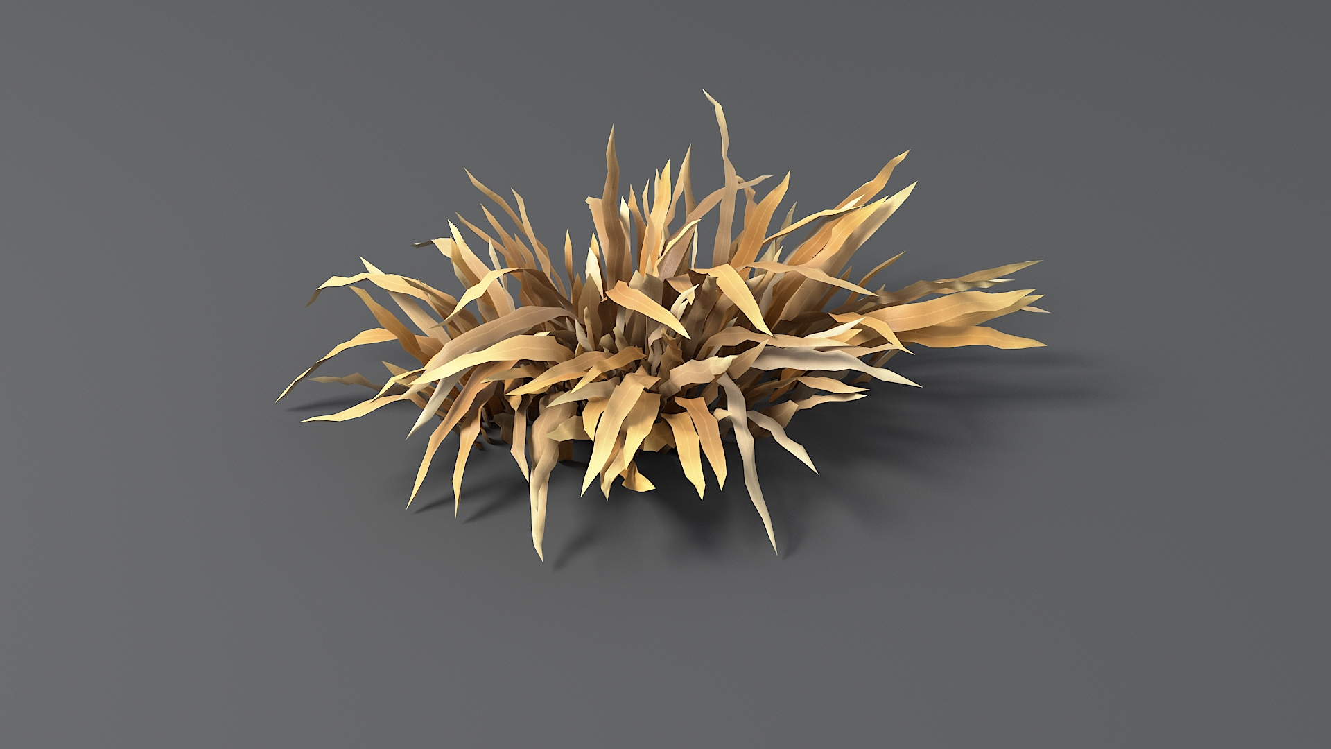 3D Cartoon Dry Grass 12 - TurboSquid 2047821