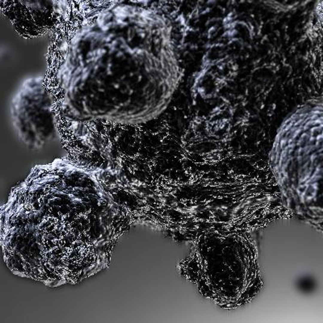 Measles Virus 3d Model