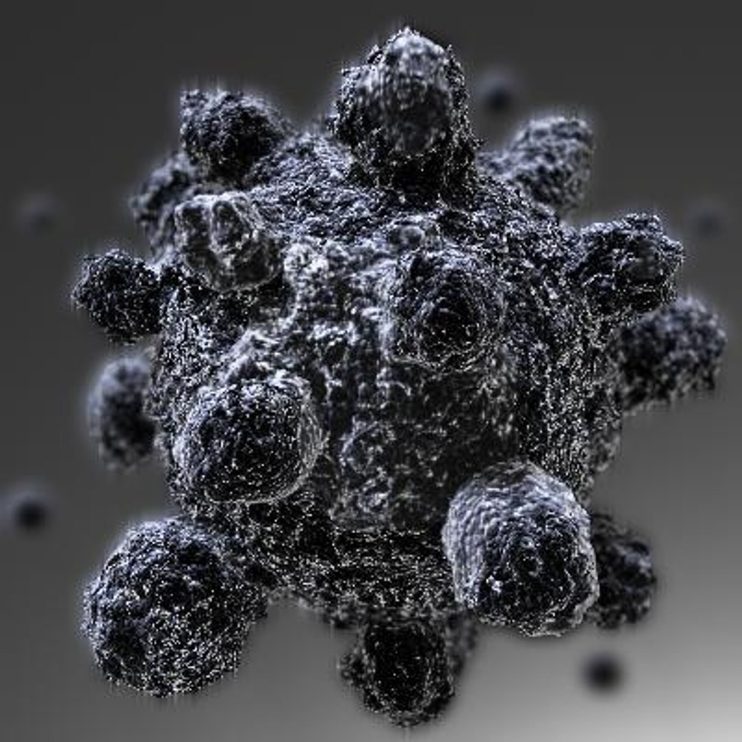 Measles Virus 3d Model