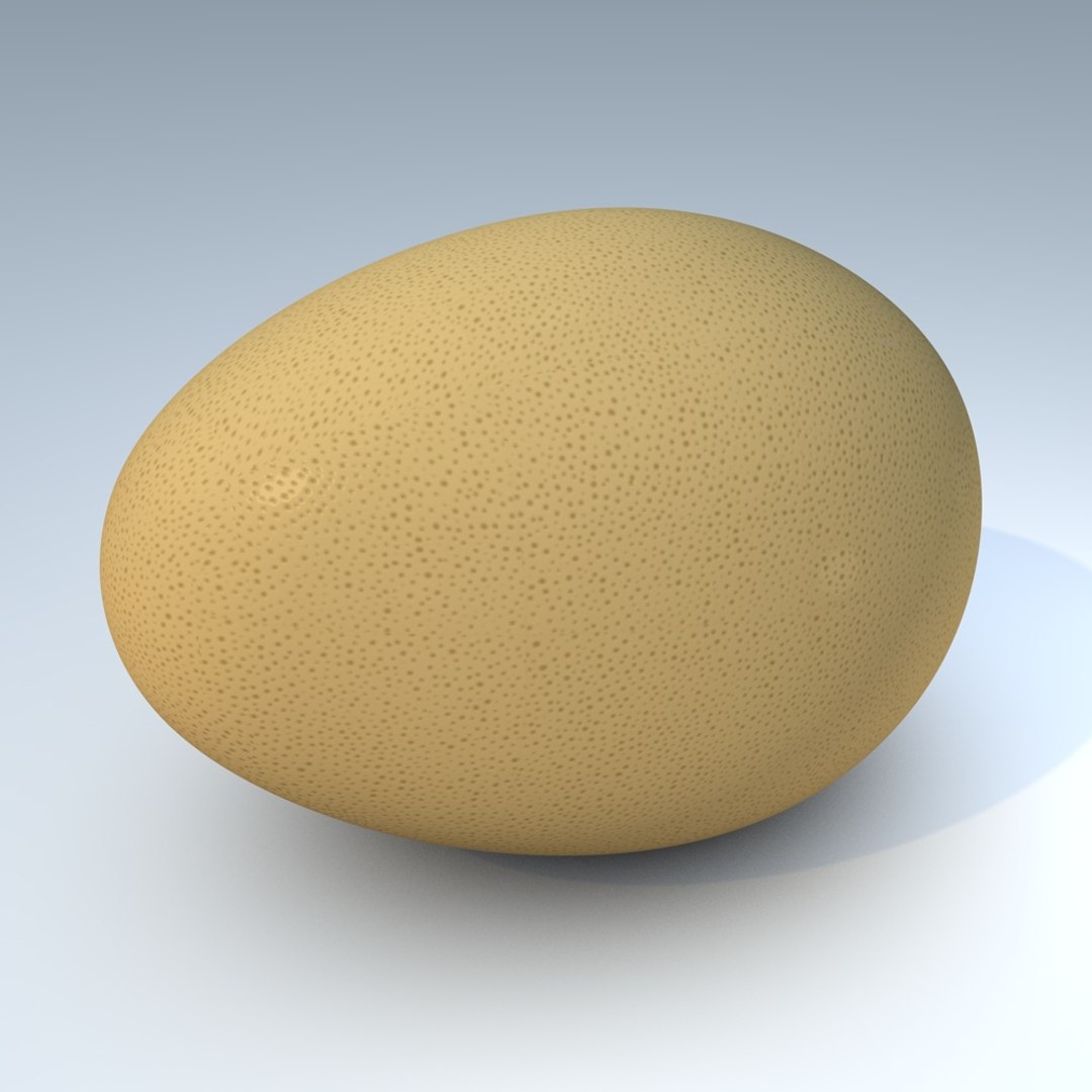3d Model Set Egg