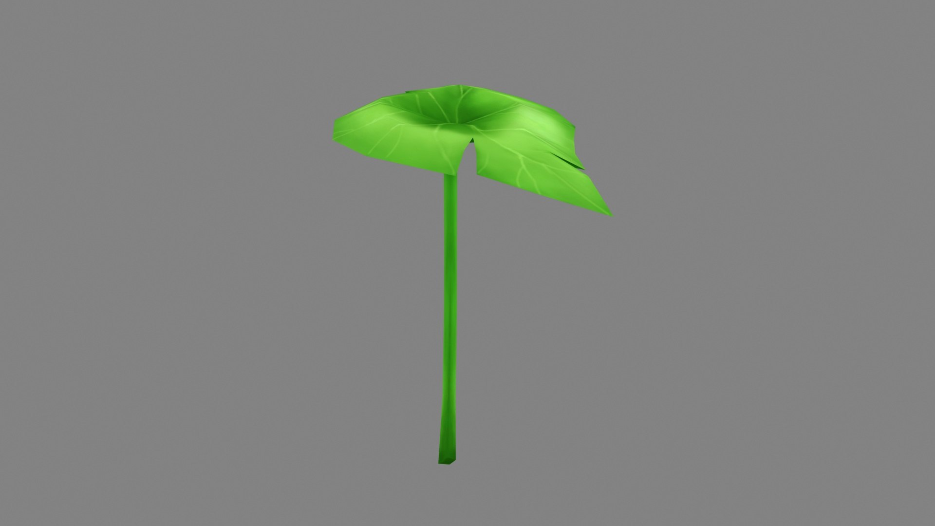 A Taro Leaf - Cartoon Leaf 3D Model - TurboSquid 2258980