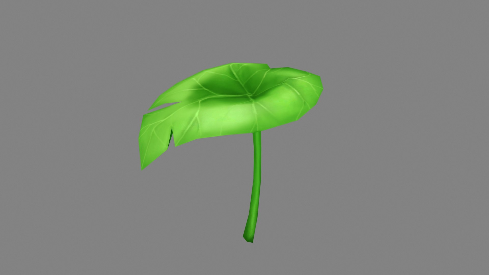 A Taro Leaf - Cartoon Leaf 3D Model - TurboSquid 2258980