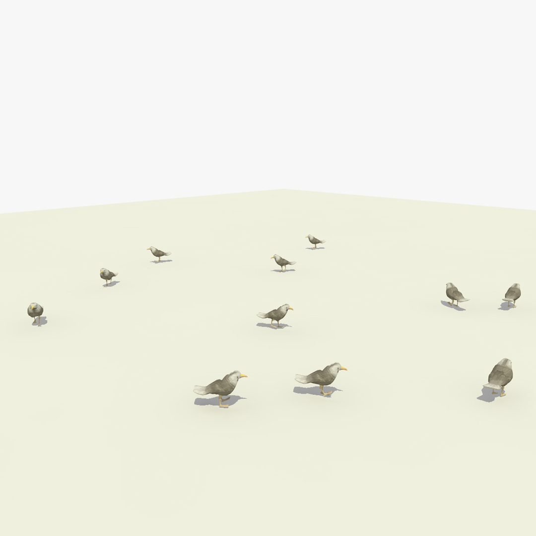 Group Walking Seagulls Animation 3d Model