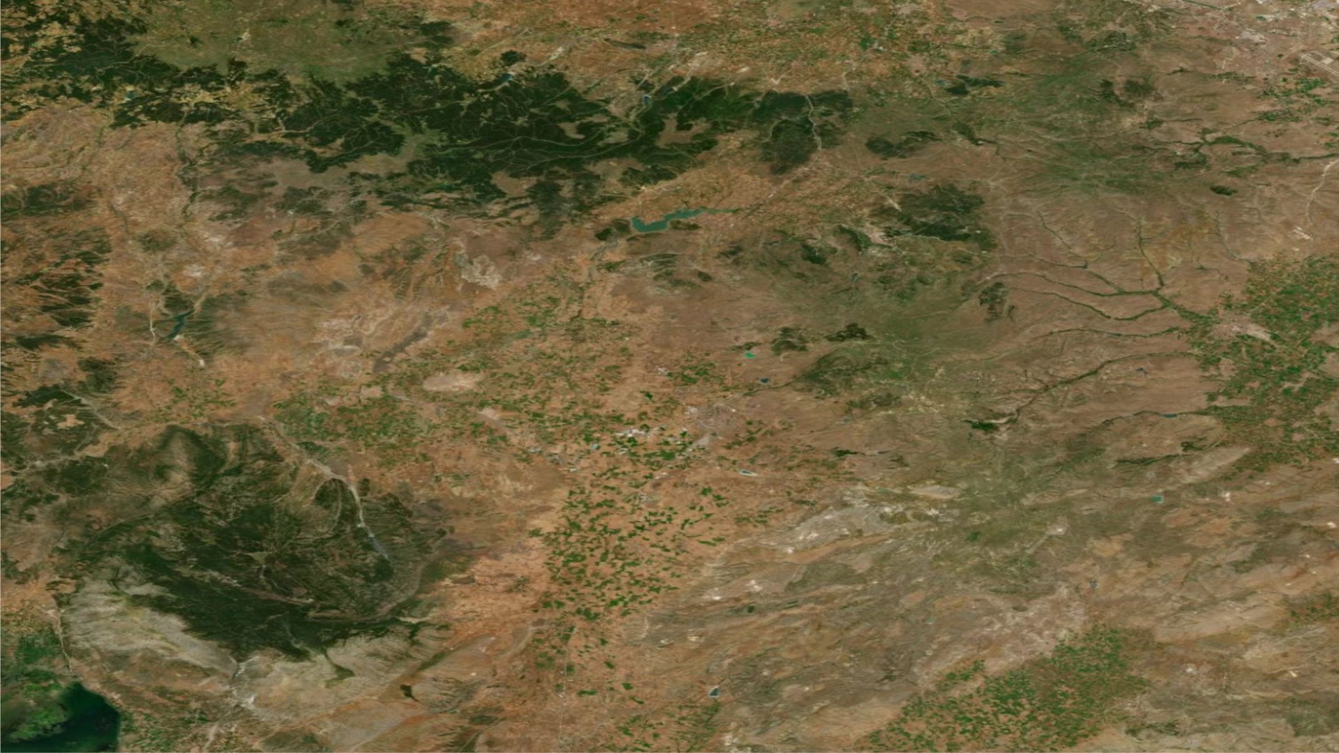 3D Real World Terrain 40 - TurboSquid 2208880