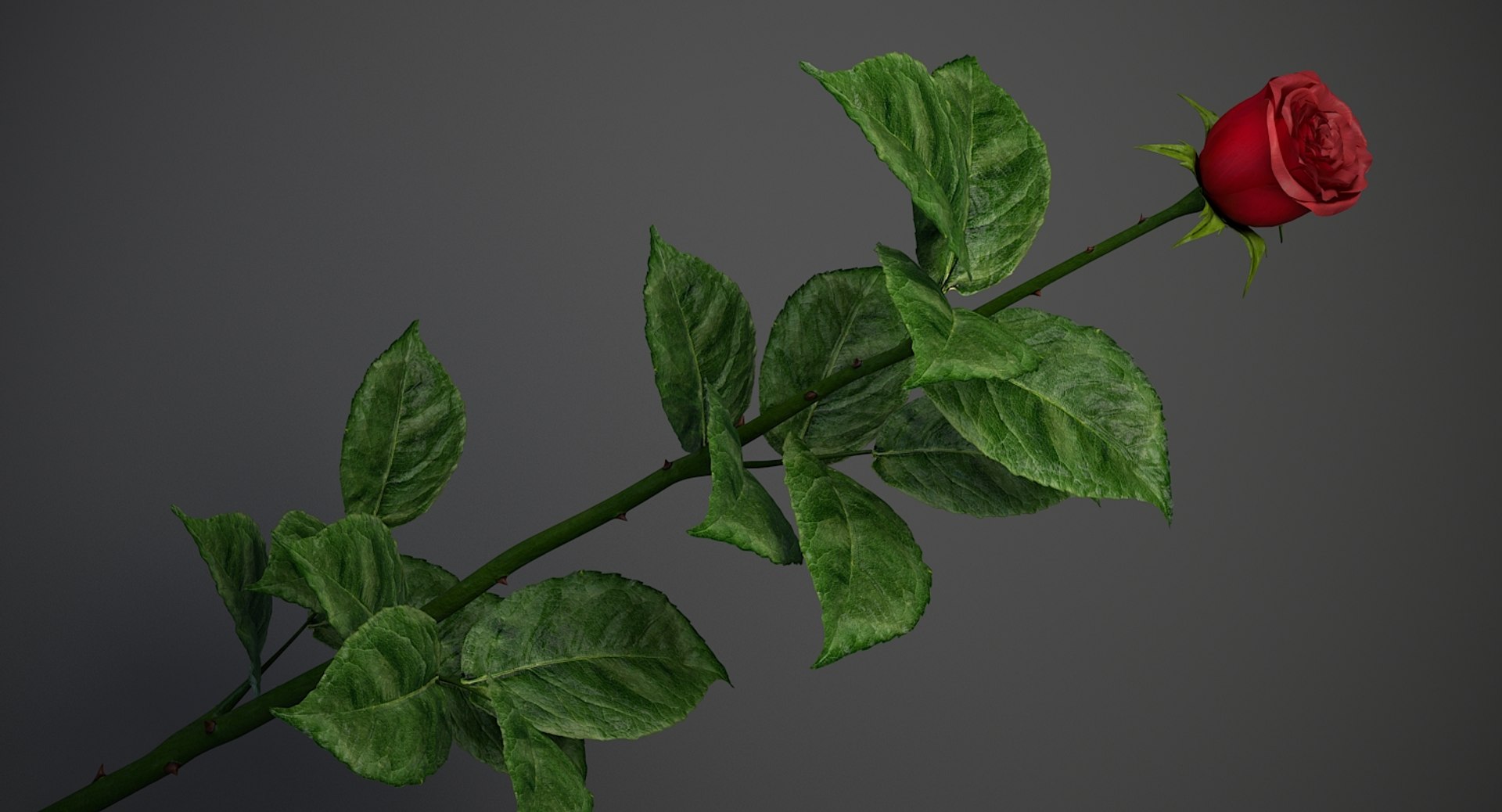 Realistic Rose Flower 3D Model - TurboSquid 1221871