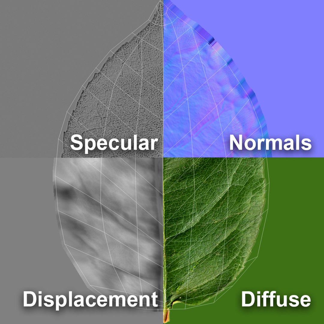 Realistic Rose Flower 3D Model - TurboSquid 1221871