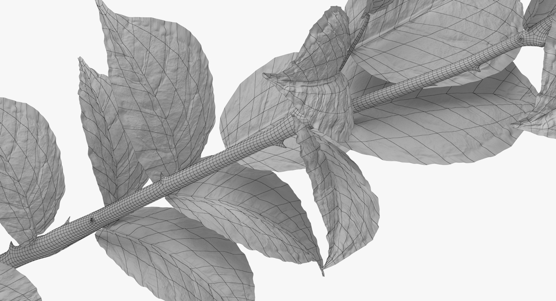 Realistic Rose Flower 3D Model - TurboSquid 1221871