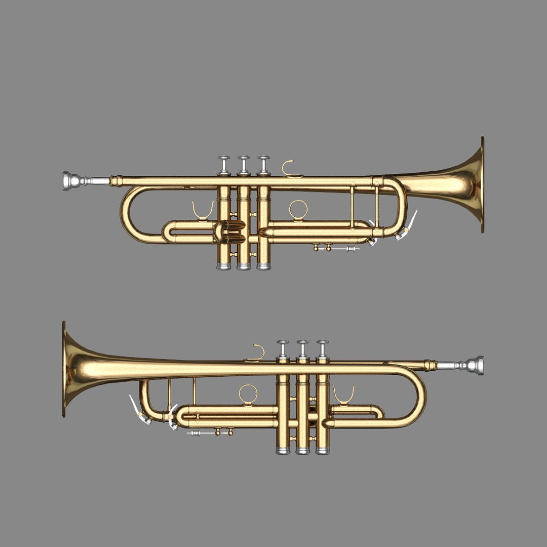 3d Model Trumpet