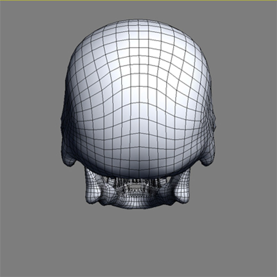skull pack 3d model