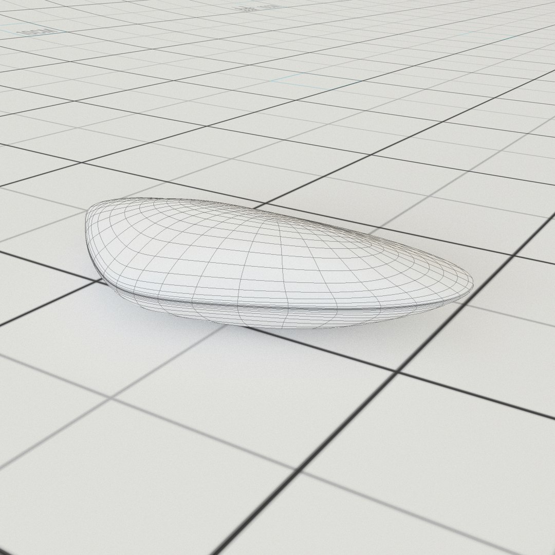 Pipi Shell 3D - TurboSquid 1209370