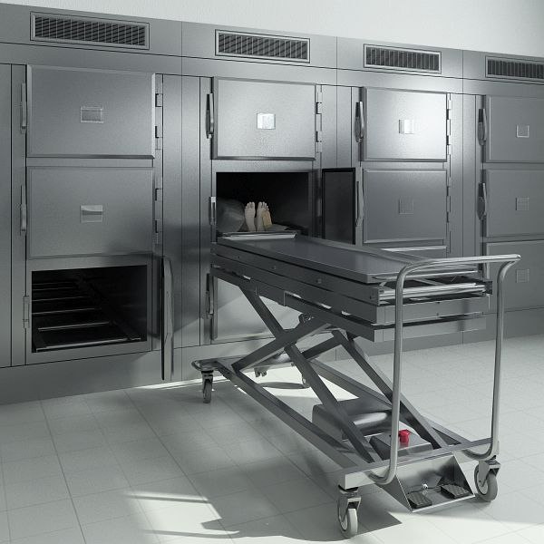big hd anatomy laboratory equipment 3d model