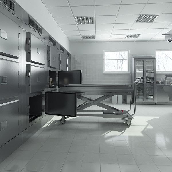 big hd anatomy laboratory equipment 3d model