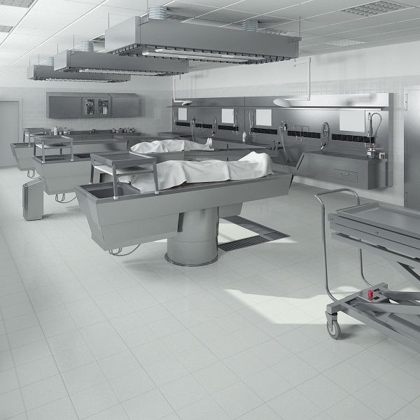 big hd anatomy laboratory equipment 3d model